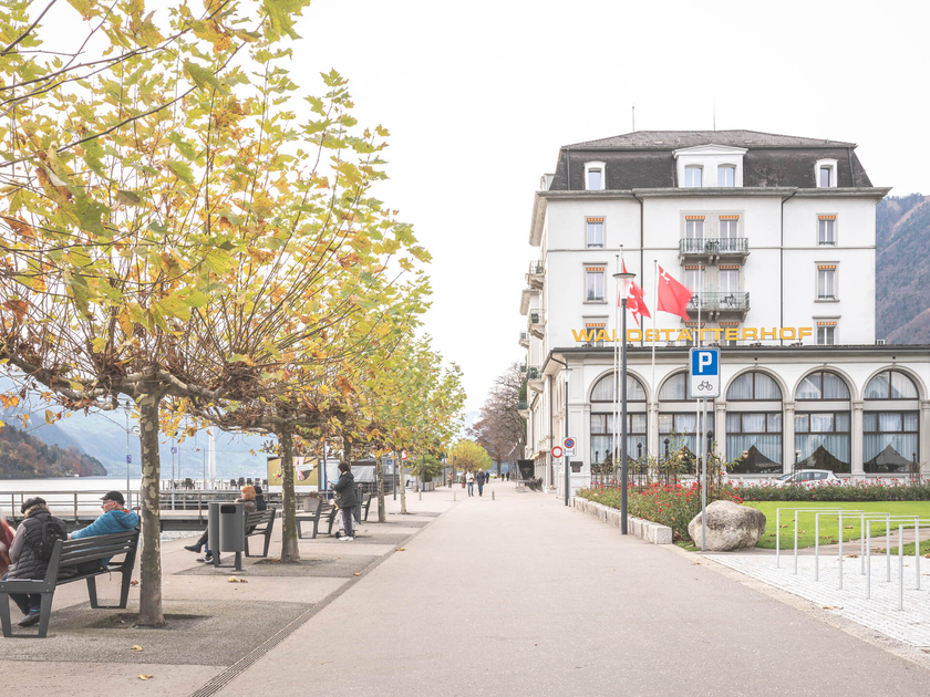 Seehotel Waldstätterhof Brunnen – 4 Sterne-Hotel direkt am See